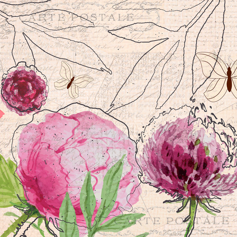 AD Lines – Empty Studios