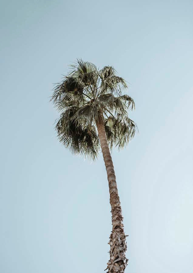 Annie Spratt – Empty Studios