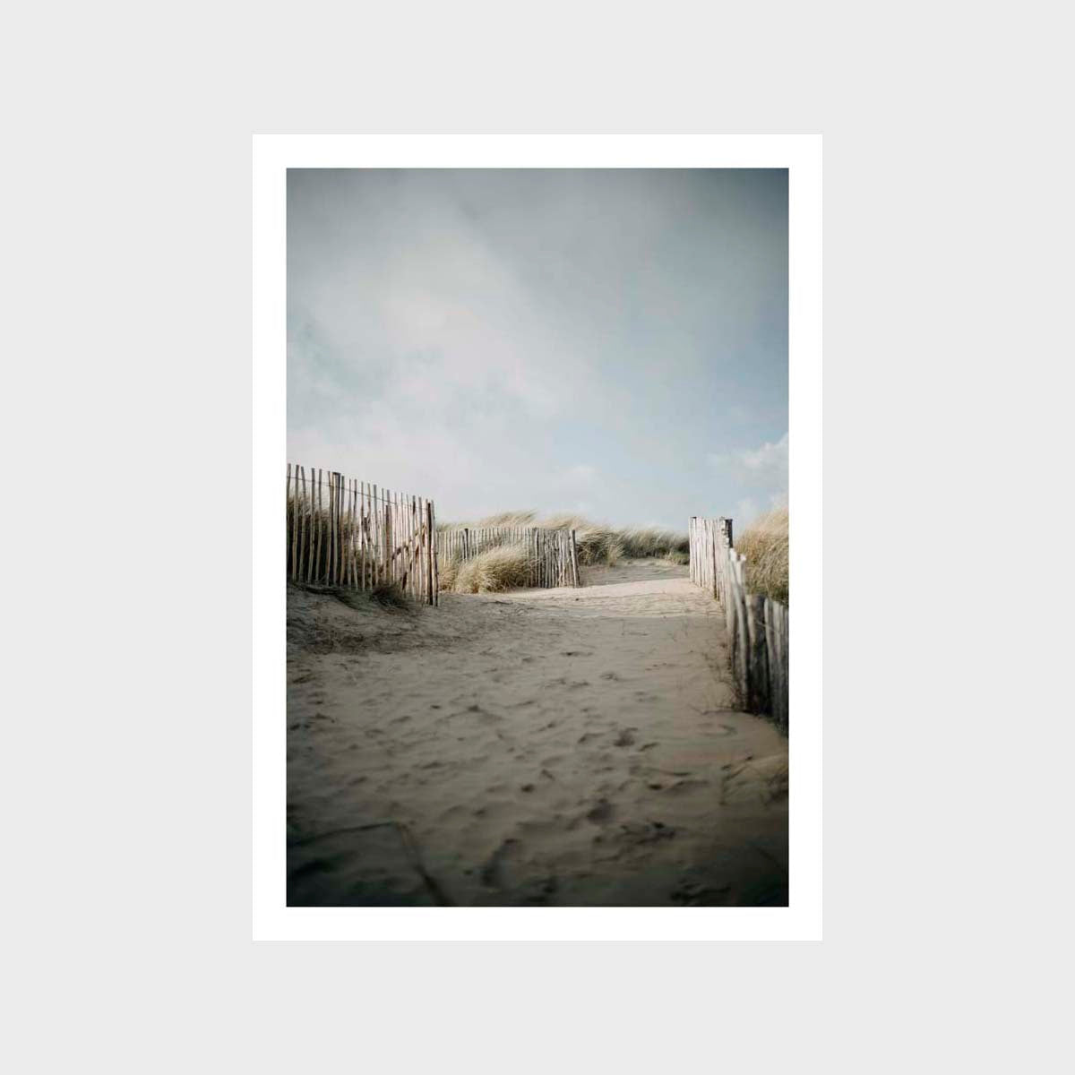 Beachgrass Path Fence Cool Art Print – Empty Studios