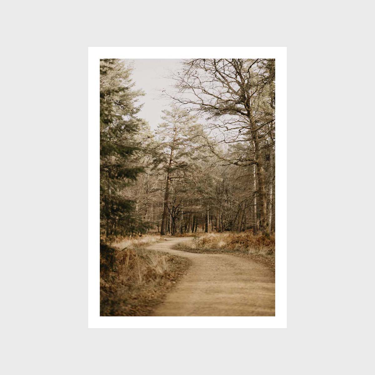 Road Autumn Art Print – Empty Studios