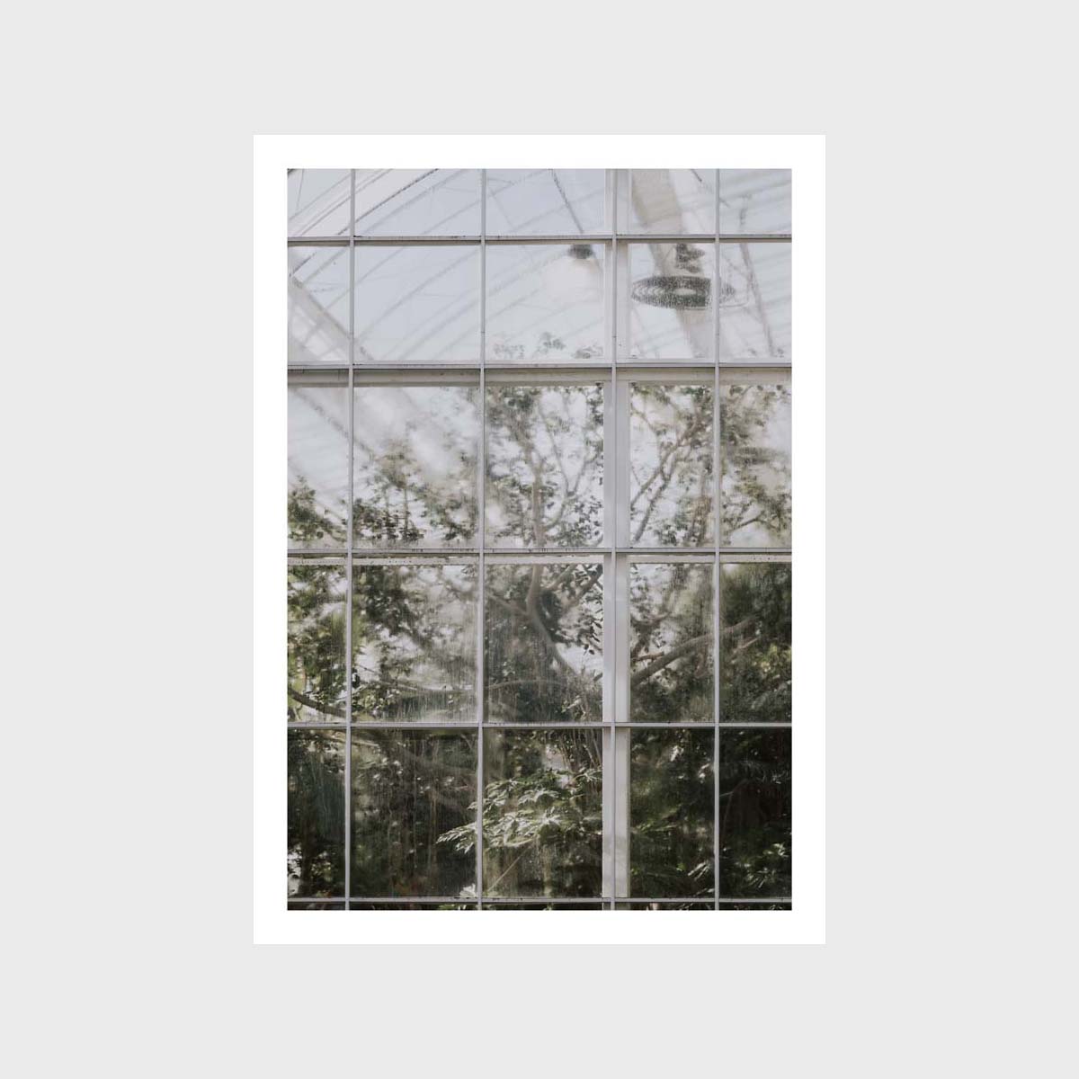 Greenhouse 1 Art Print – Empty Studios