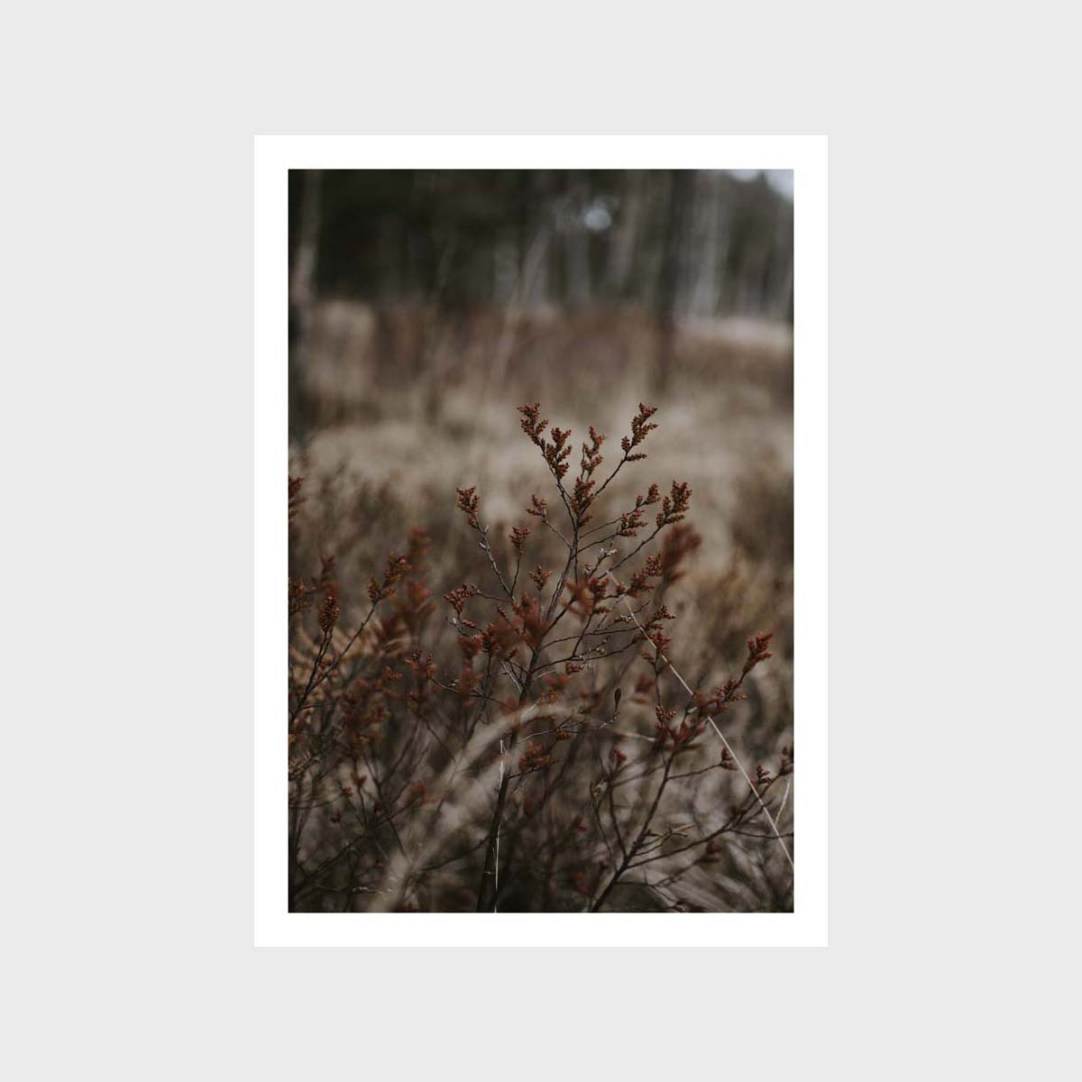 Grass Rust 2 Art Print – Empty Studios
