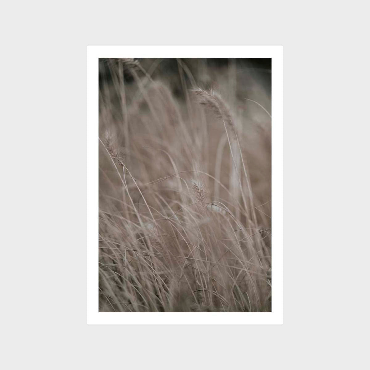 Grass Taupe 1 Art Print – Empty Studios