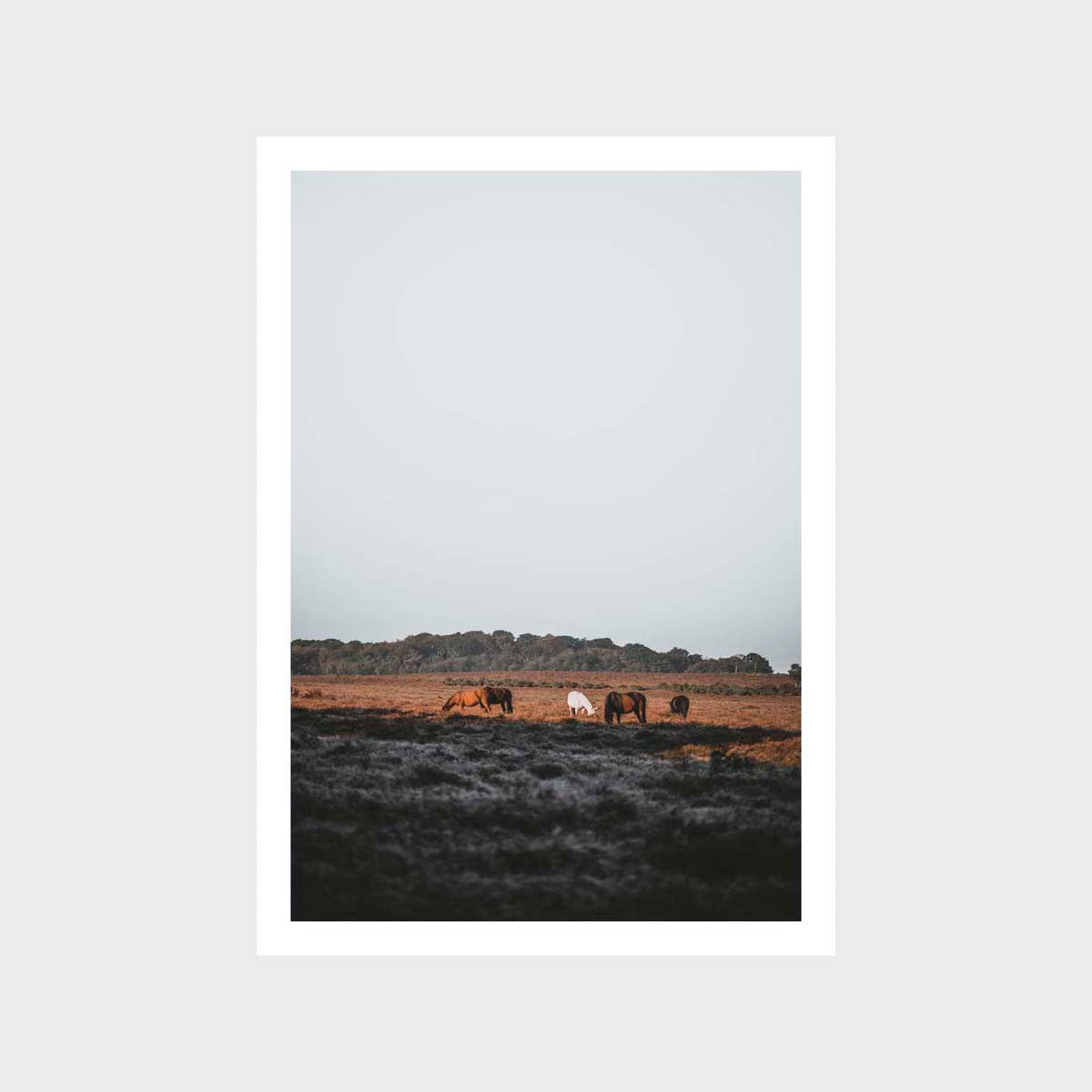 Horse 6 Art Print – Empty Studios