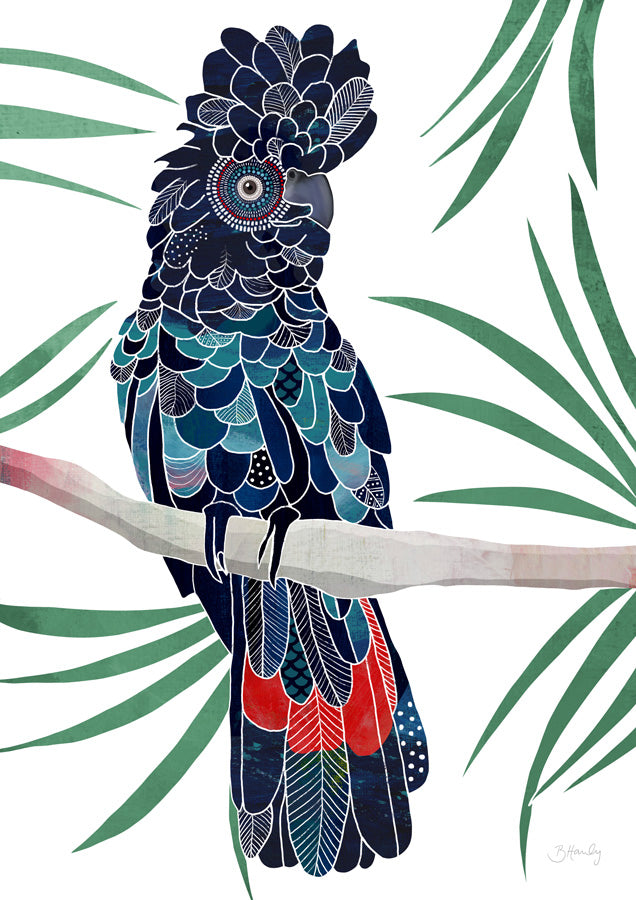 Red Tailed Cockatoo Canvas Wall Art – Empty Studios