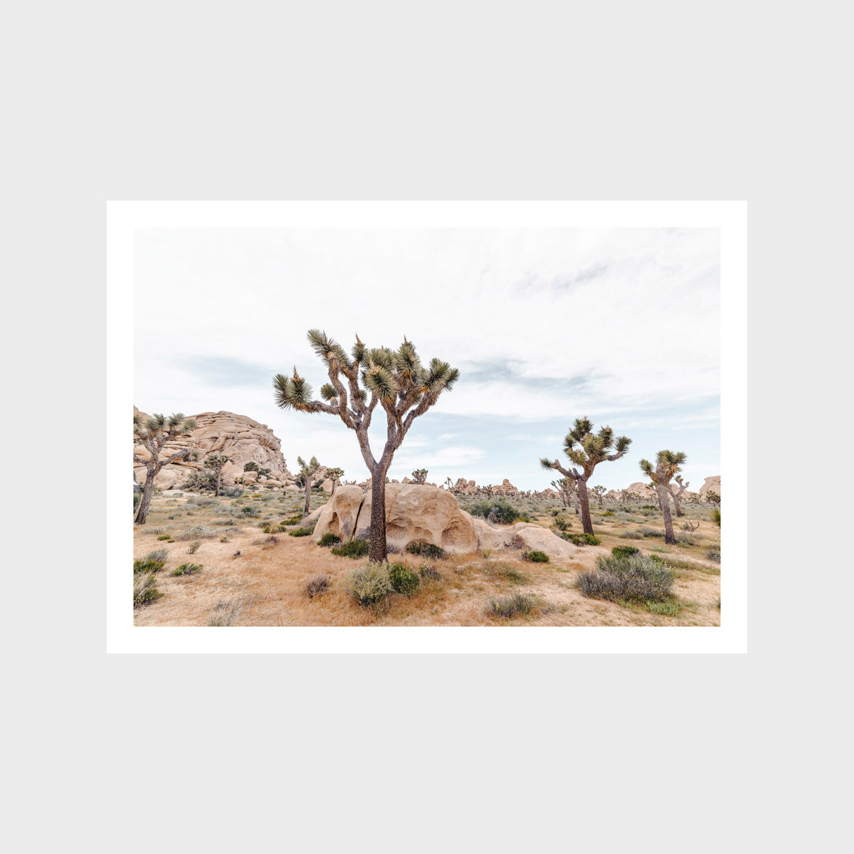 Hueso Art Print – Empty Studios