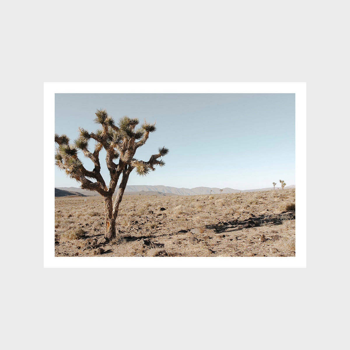 Nuevo Art Print – Empty Studios