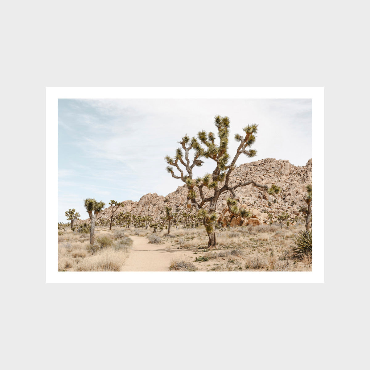 Sueco Art Print – Empty Studios