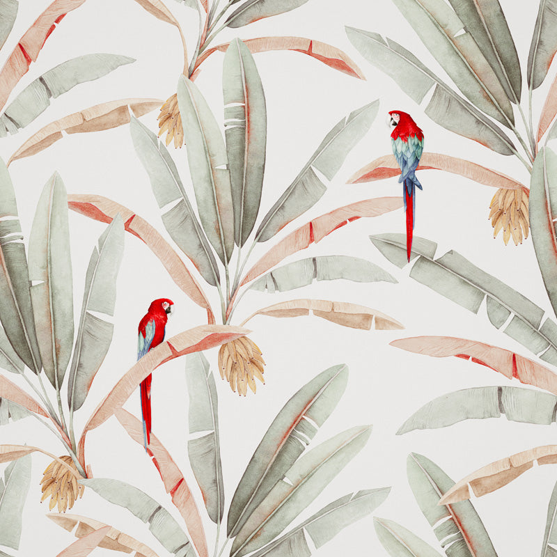 MPI-PTN003 – Empty Studios