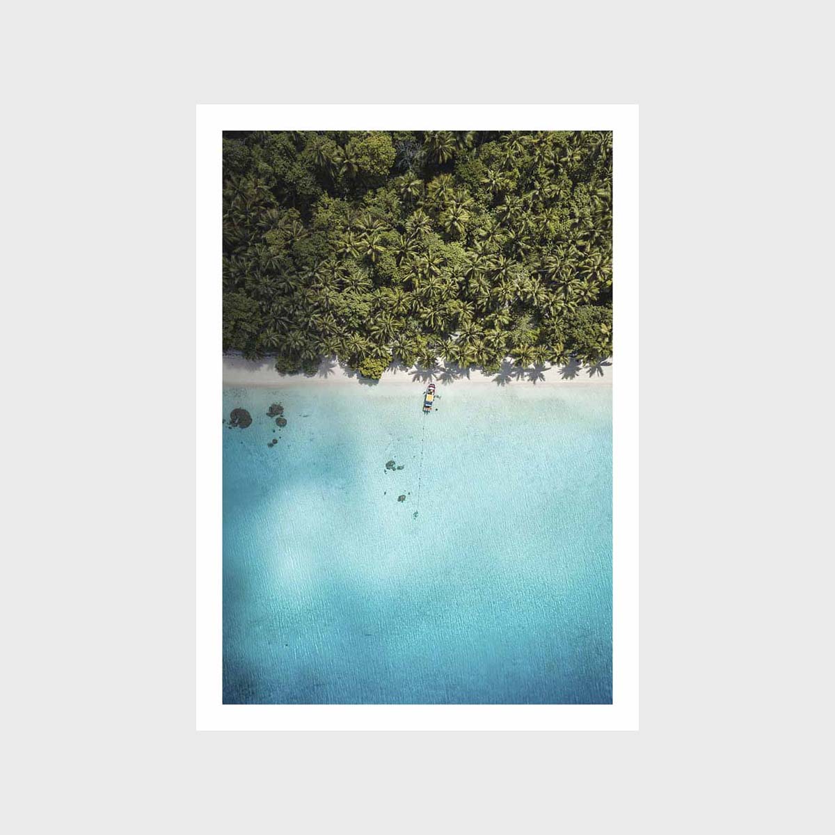 Antsland Art Print – Empty Studios