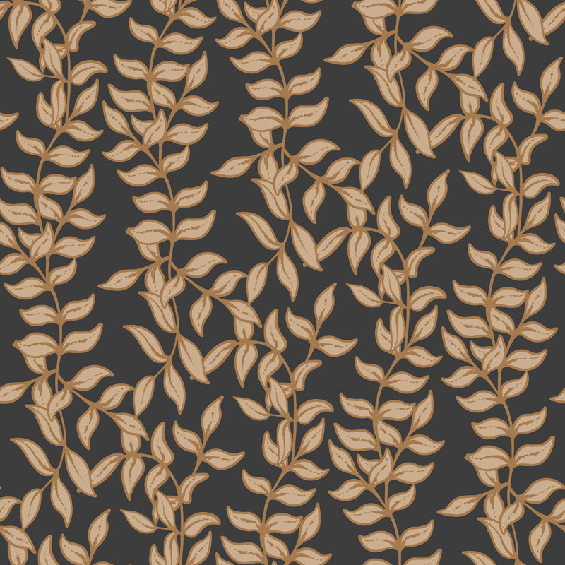 SCA-PTN027 – Empty Studios