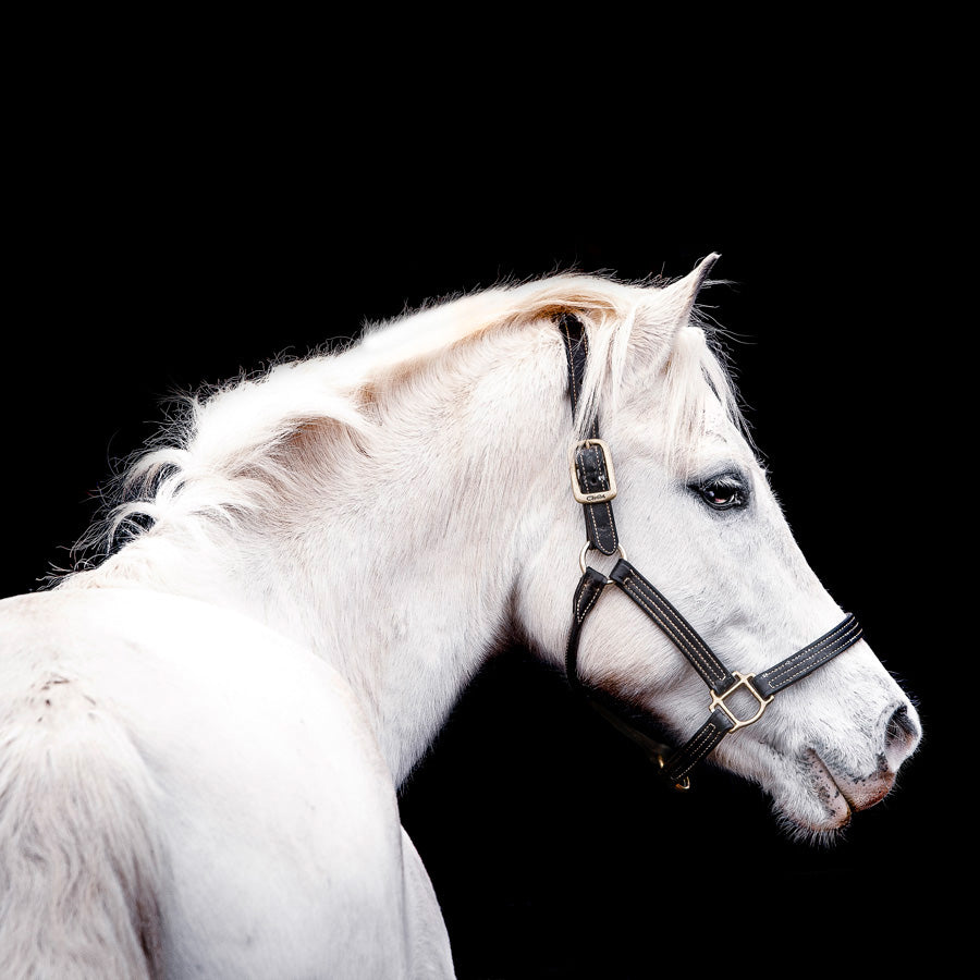 Maddie In Black – Empty Studios