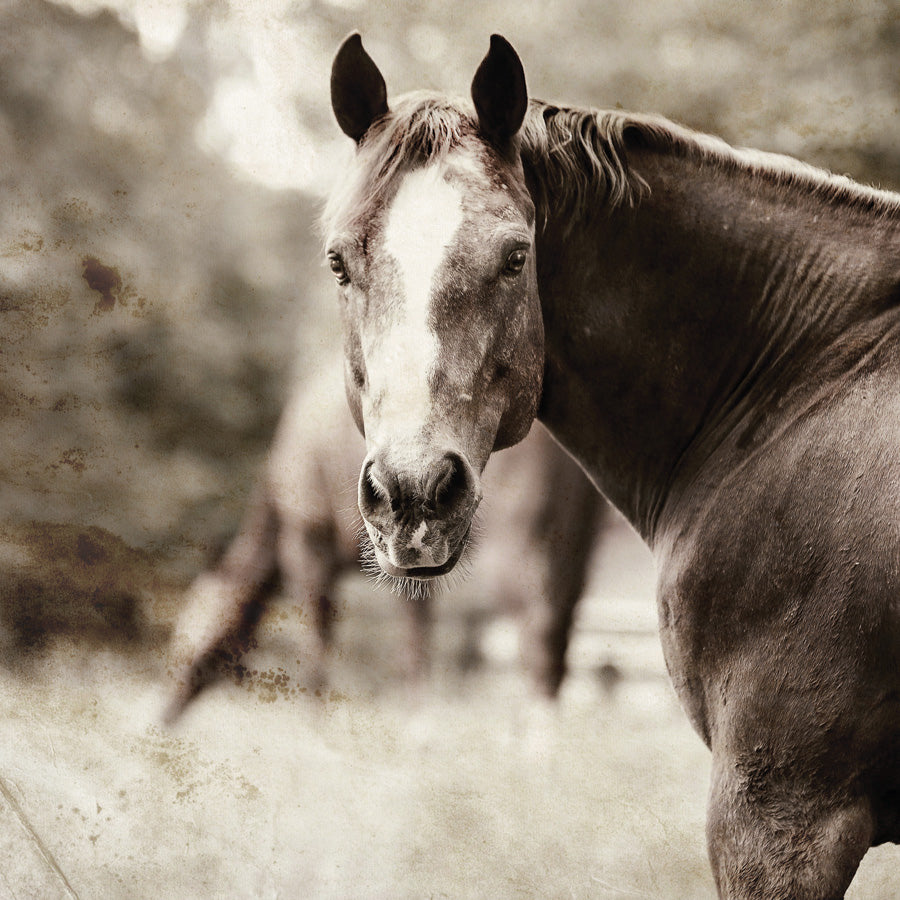 Romeo – Empty Studios