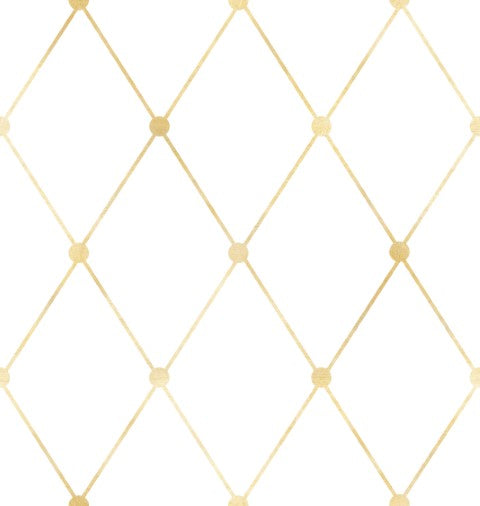 APO-DMTL01 – Empty Studios