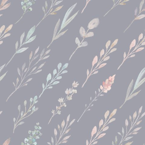 APO-LVS003 – Empty Studios