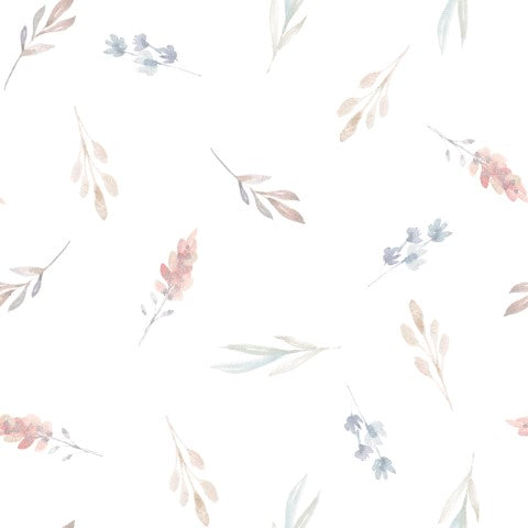 APO-MXLV01 – Empty Studios