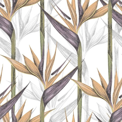 APO-PRDS01 – Empty Studios