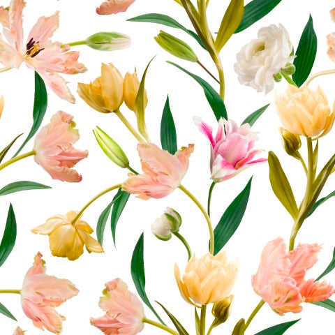 ARO-MEAD02 – Empty Studios