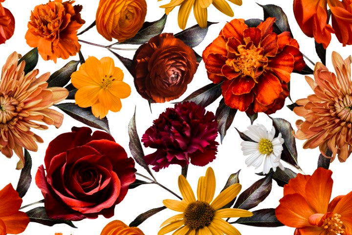 ARO-SNST01 – Empty Studios