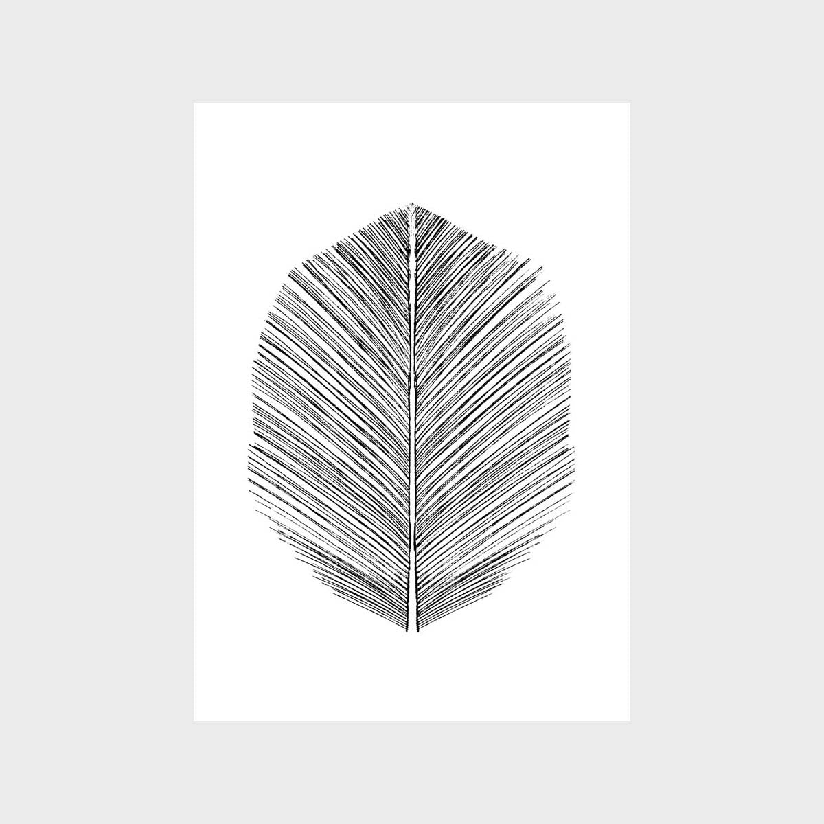 Dawn Feather Art Print – Empty Studios