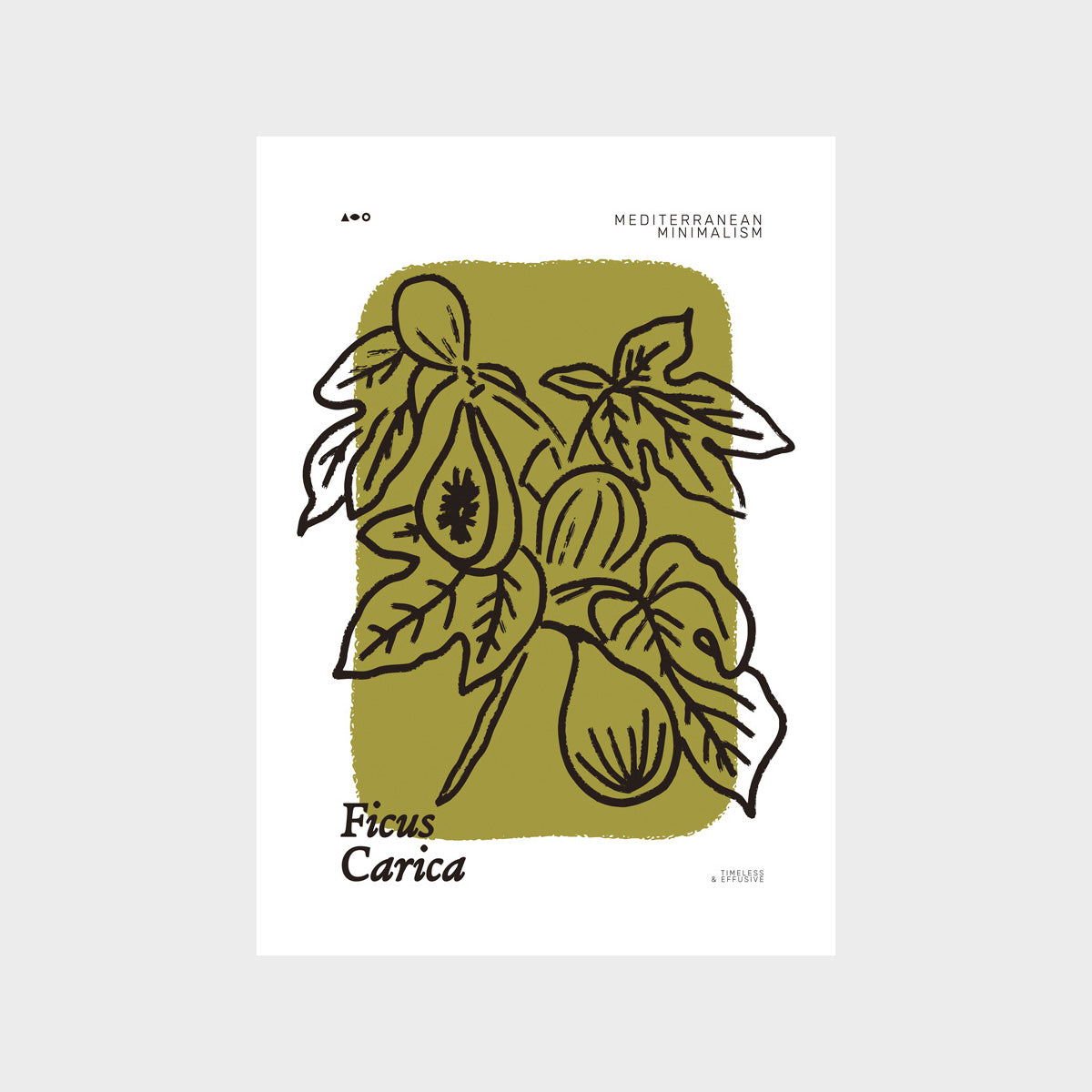 Ficus Art Print – Empty Studios