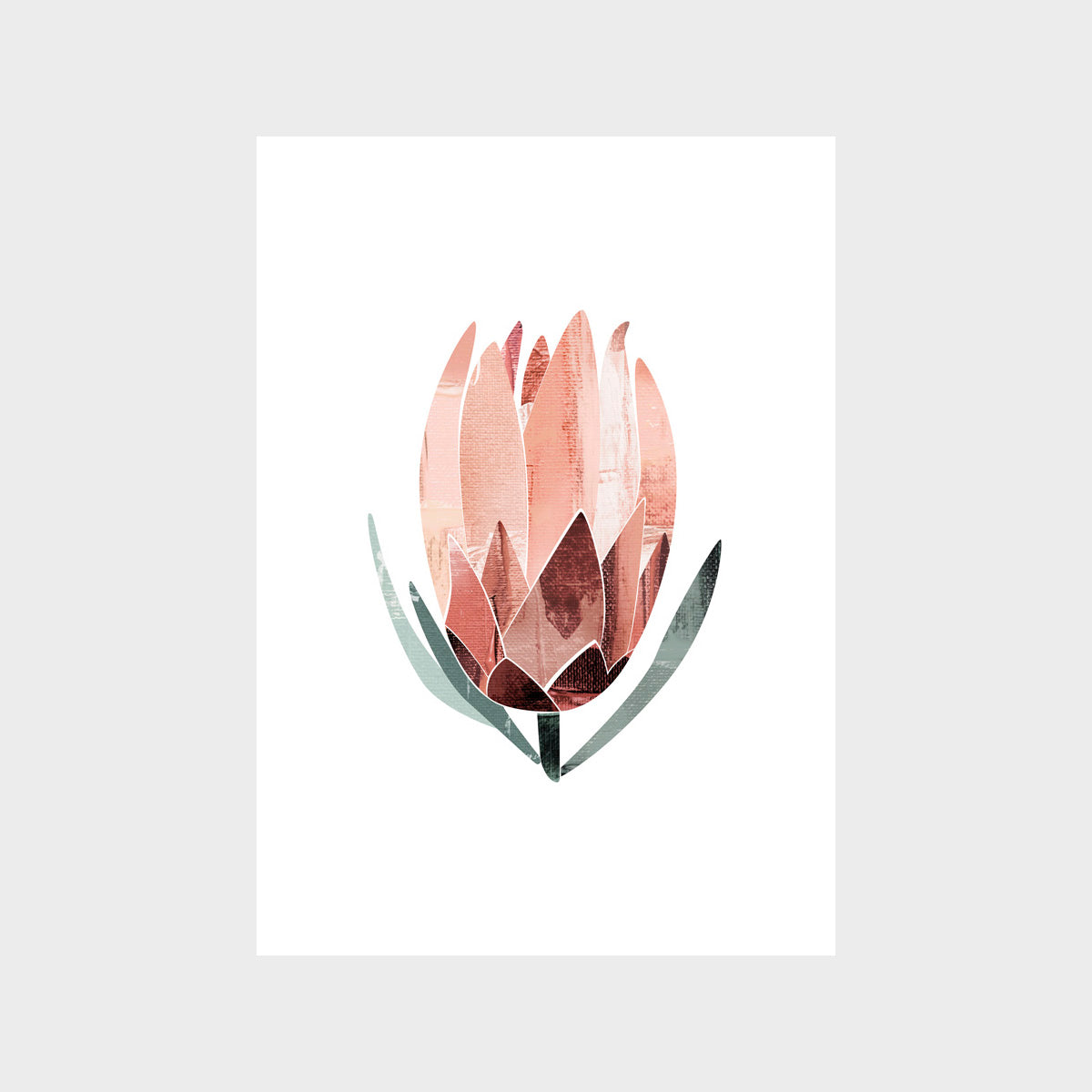 Abstract Protea Art Print – Empty Studios