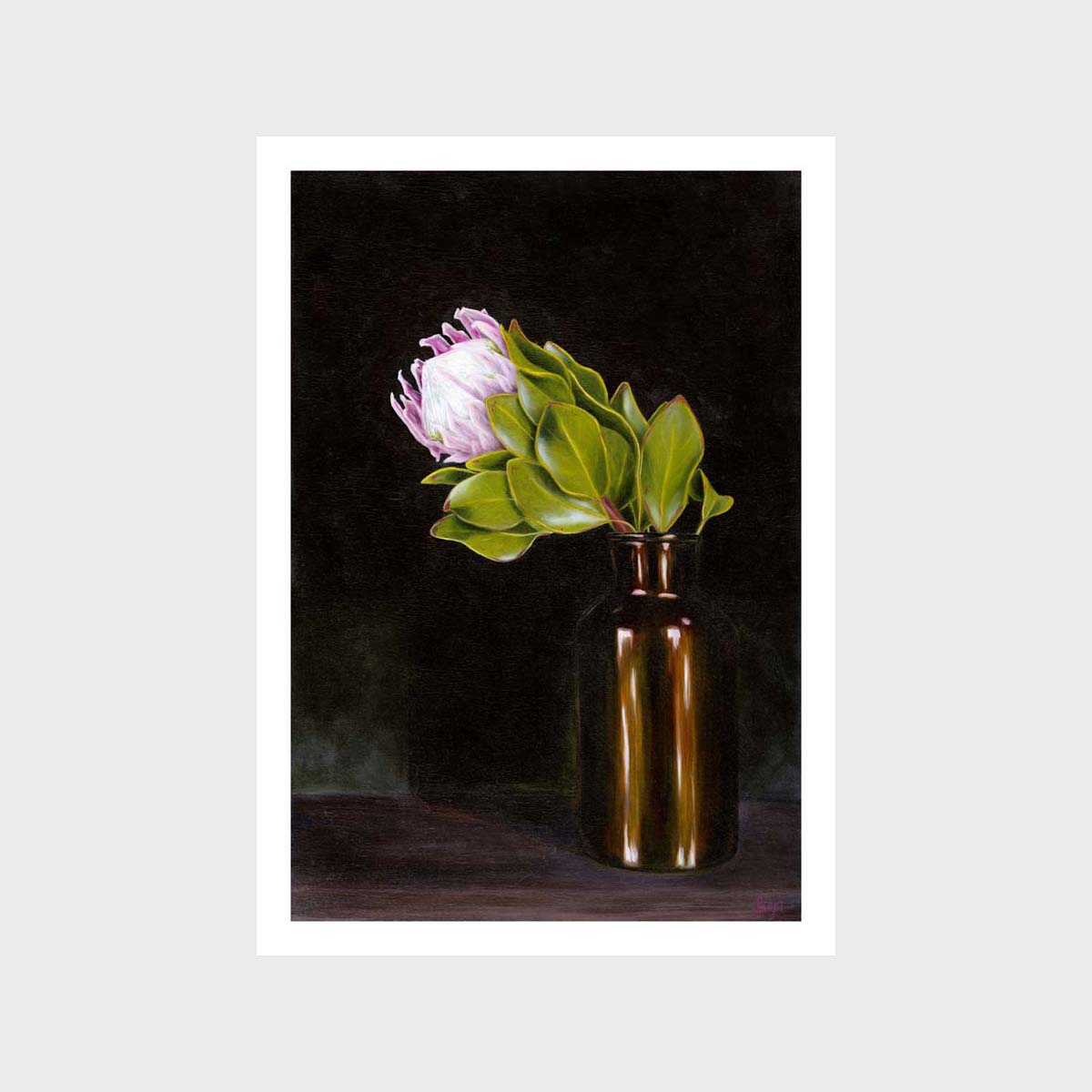 Protea Art Print – Empty Studios