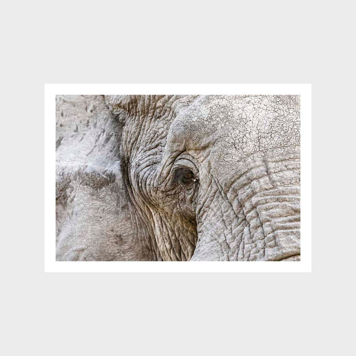 Fixed Art Print – Empty Studios